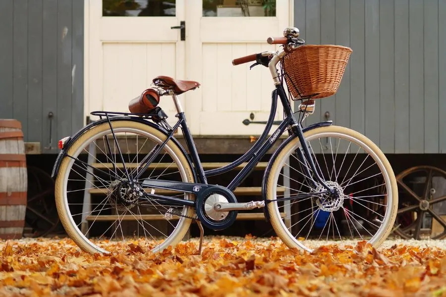 Pashley e-classics | Cycling Electric