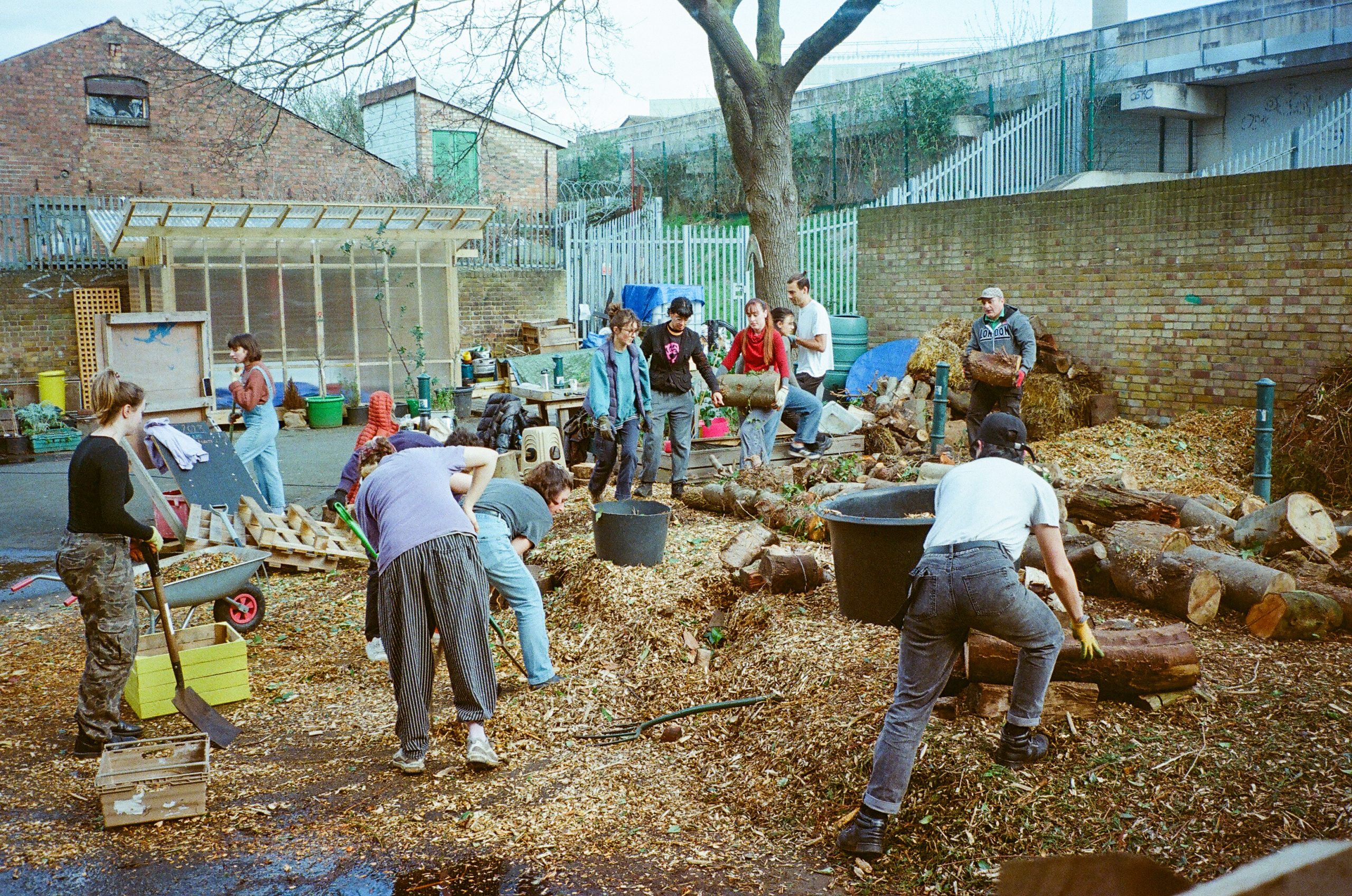 The Winslade Forest Garden at Bridgehouse Gardens - AJ Buildings Library