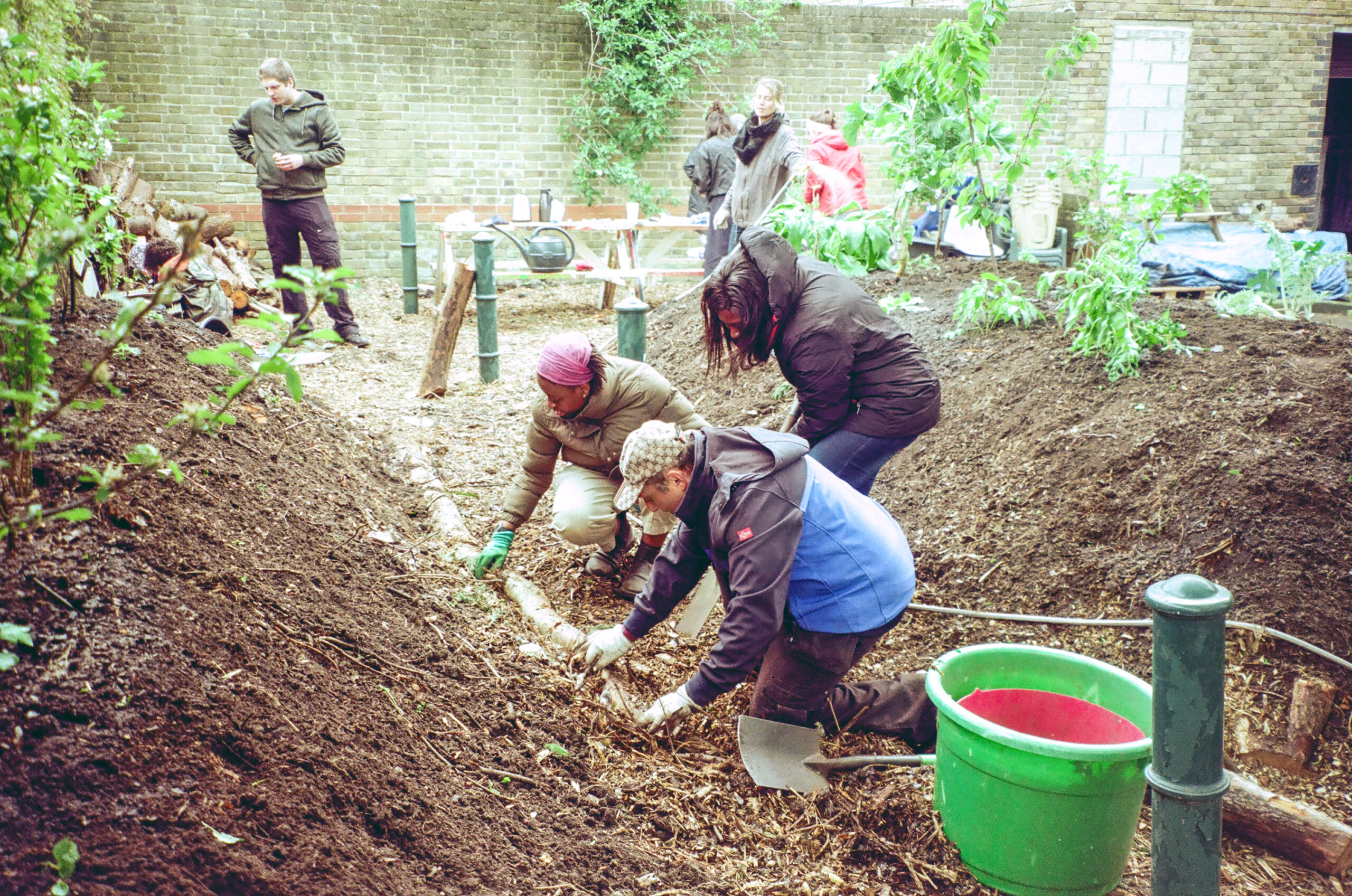 The Winslade Forest Garden at Bridgehouse Gardens - AJ Buildings Library
