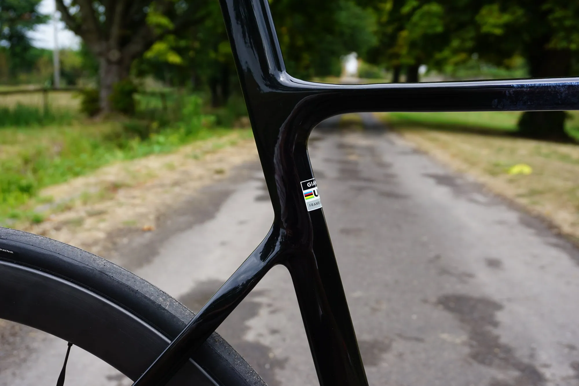 Giant Propel vs TCR vs Defy: Which is the best Giant road bike in 2026 ...