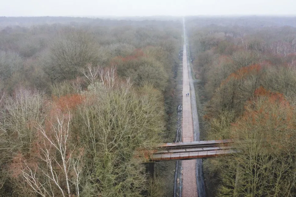 Where Paris-Roubaix will be decided, part 1: The Arenberg Forest | Cyclist